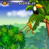 JOGOS DE MACACO Grátis - Jogue Jogos de Macaco Grátis no Poki